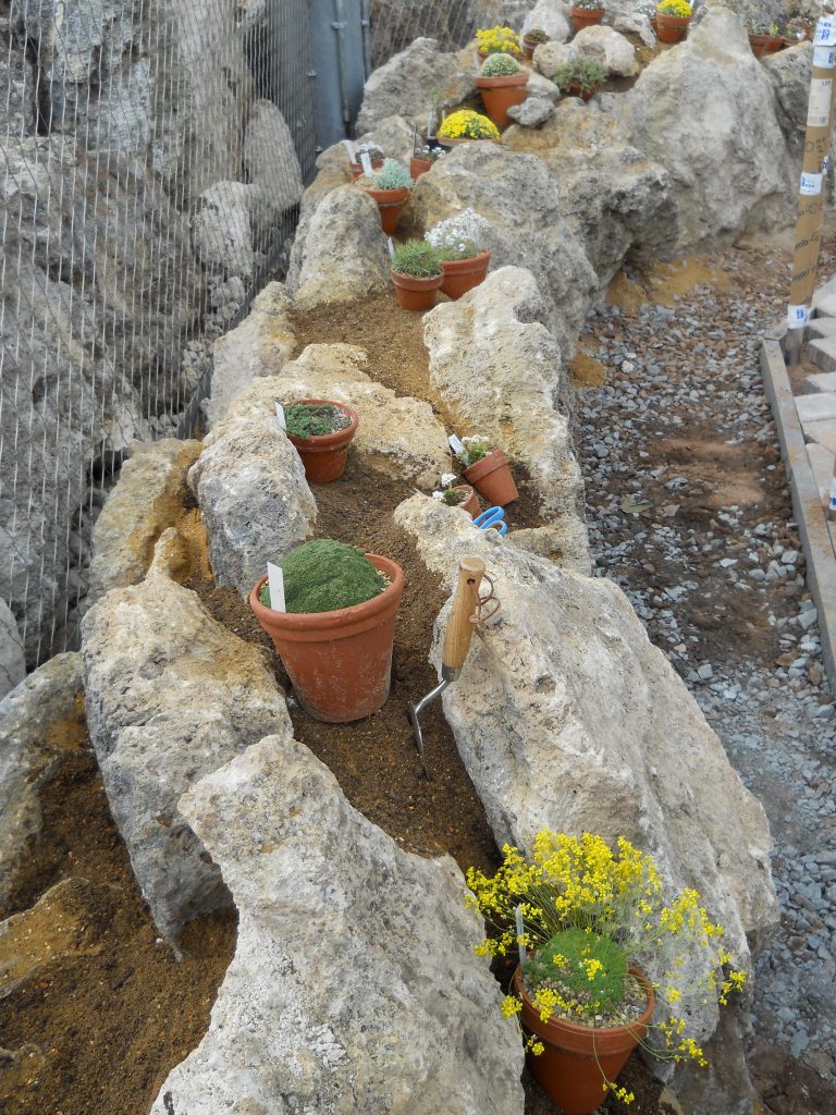 New RBGE Alpine House opens – Botanics Stories