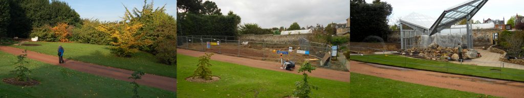 New RBGE Alpine House opens – Botanics Stories