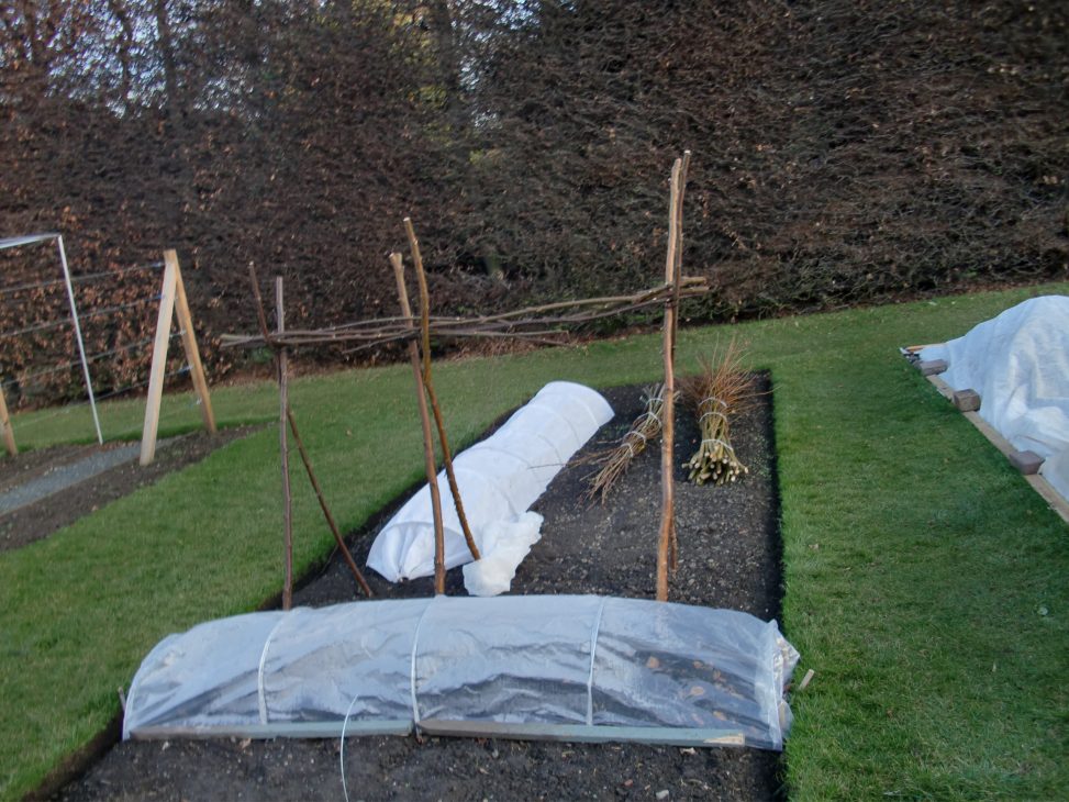 Structures and support – Botanics Stories