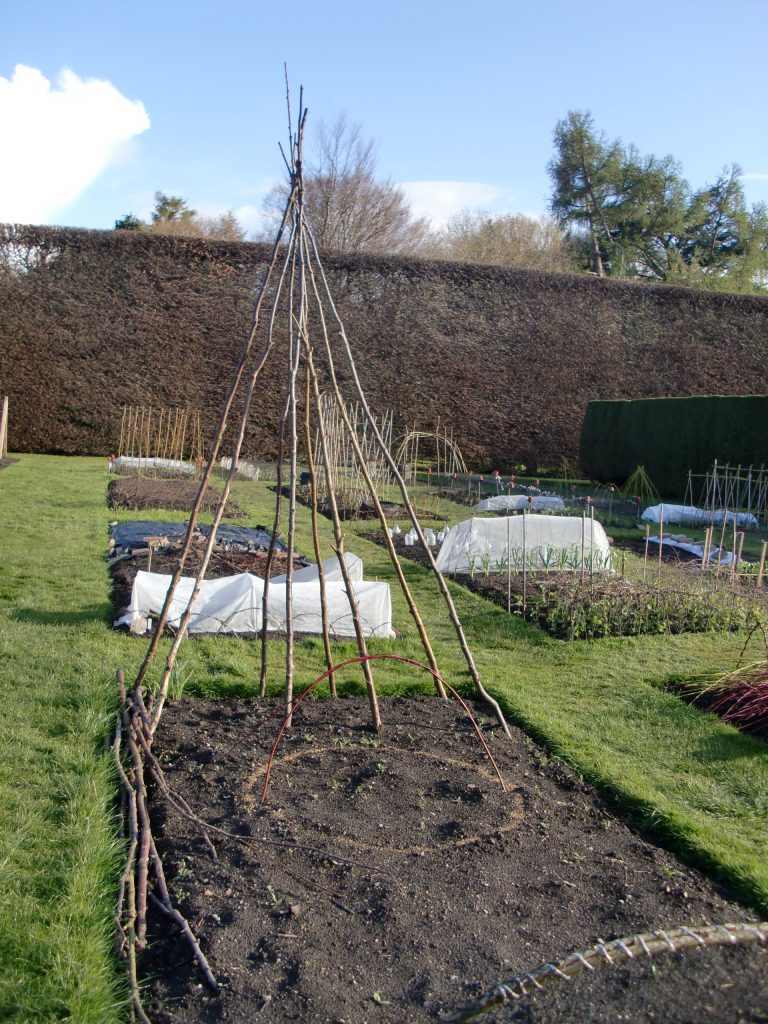 Structures and support – Botanics Stories