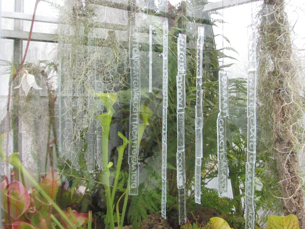 Grow! by Pop Up! Edinburgh – Botanics Stories