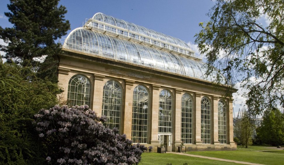 October 2013 – Botanics Stories