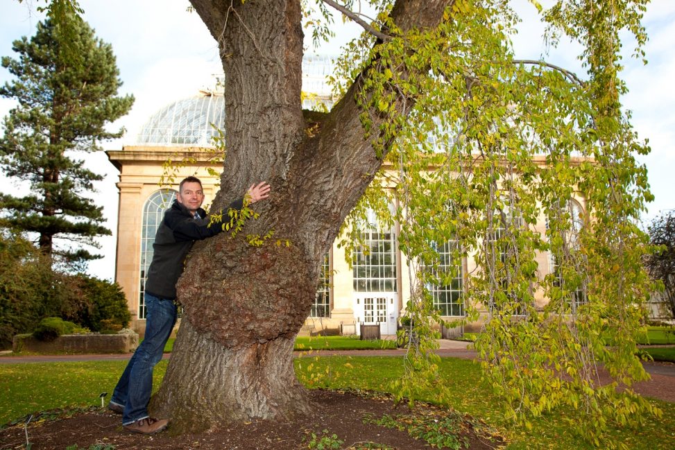 Calling all tree huggers – Botanics Stories