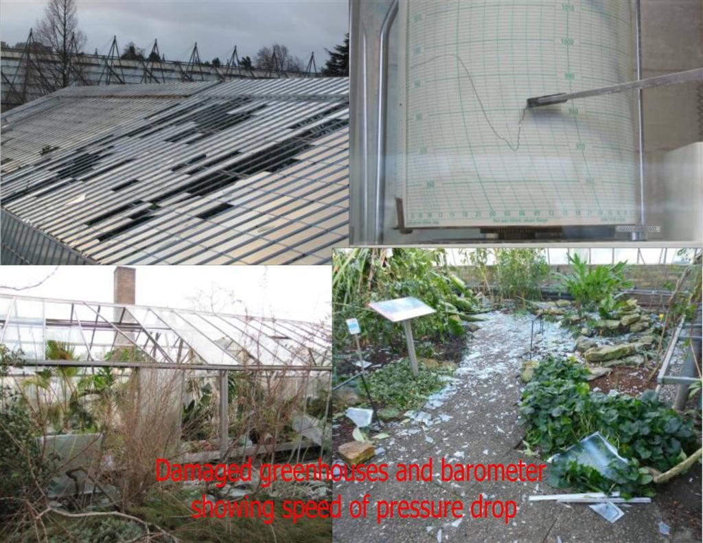 Storm damage – Botanics Stories