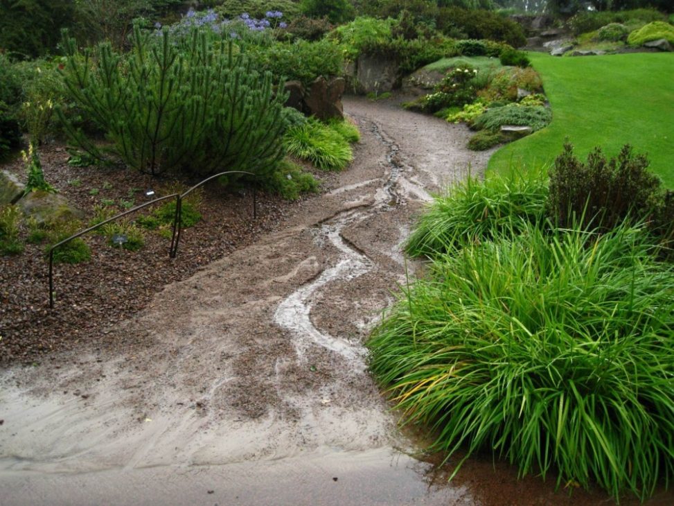 Review of the year 2011 – Botanics Stories