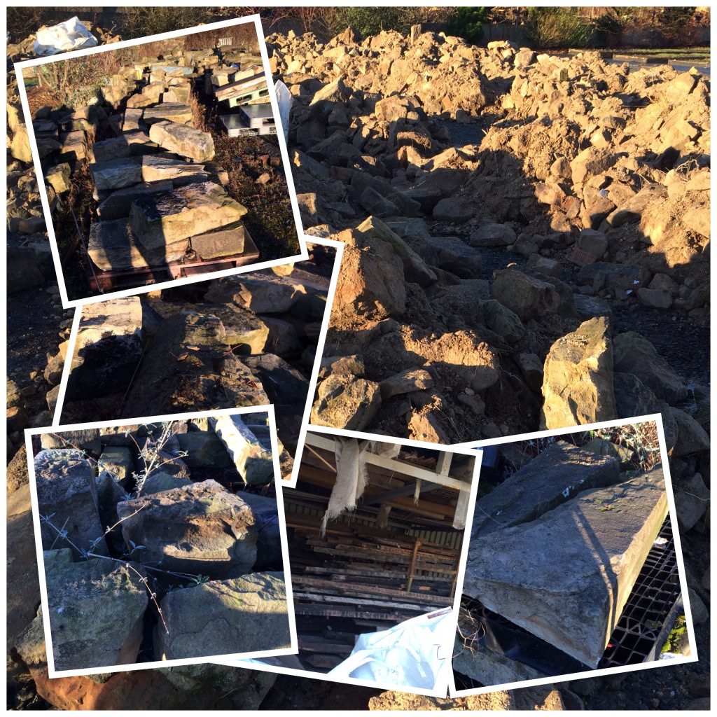 Sutherland Forsyth – Botanics Stories