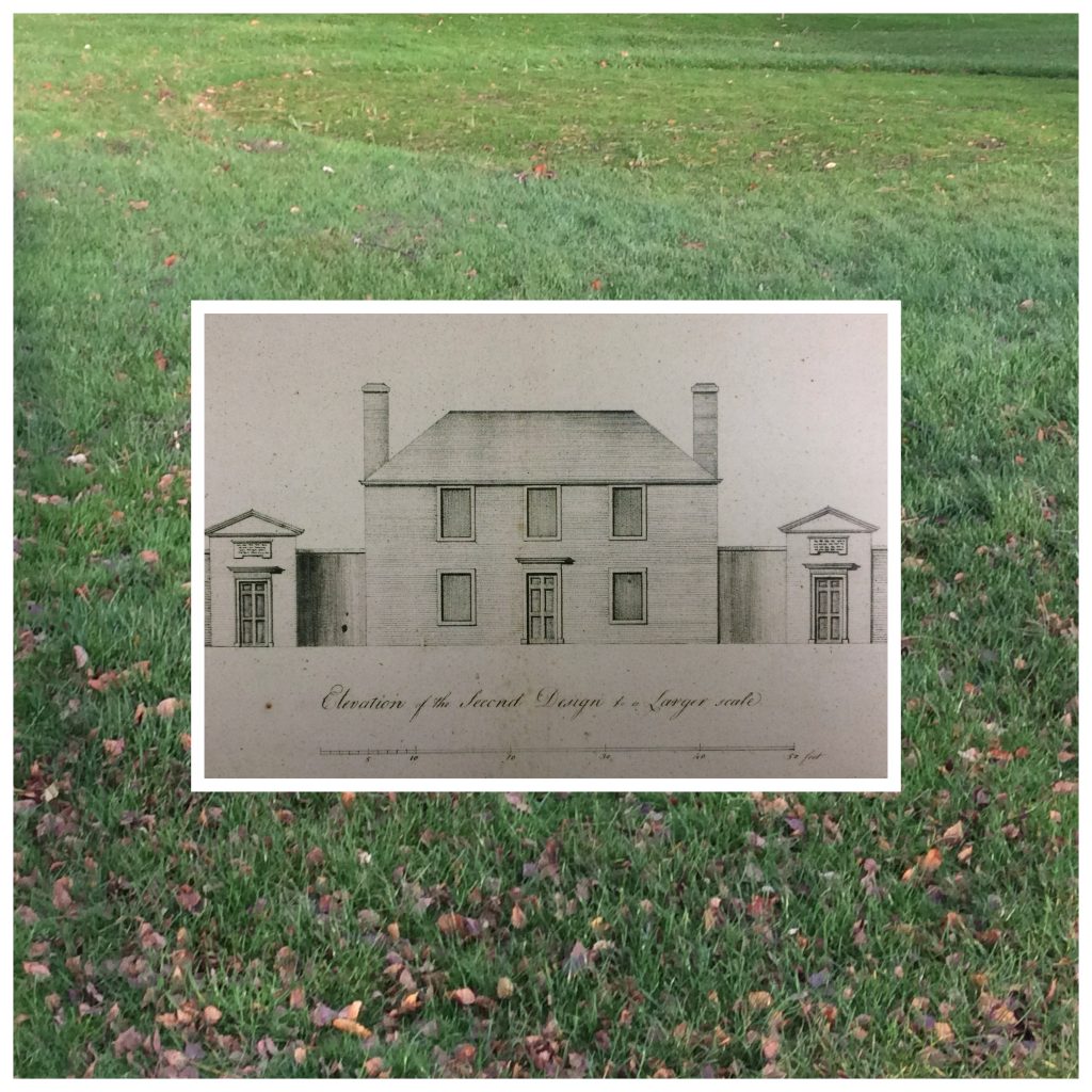 Sutherland Forsyth – Botanics Stories