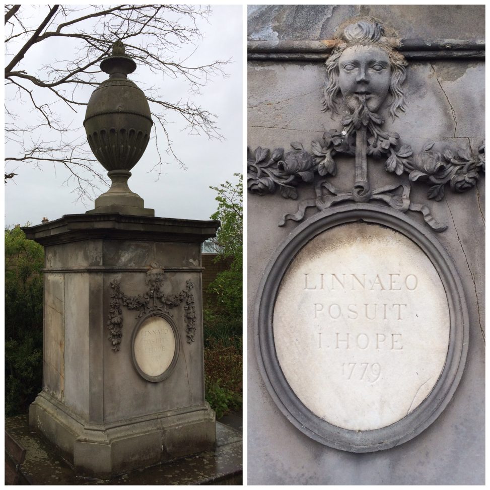 Sutherland Forsyth – Botanics Stories