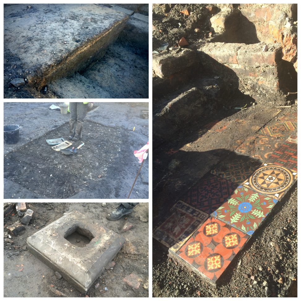 Sutherland Forsyth – Botanics Stories