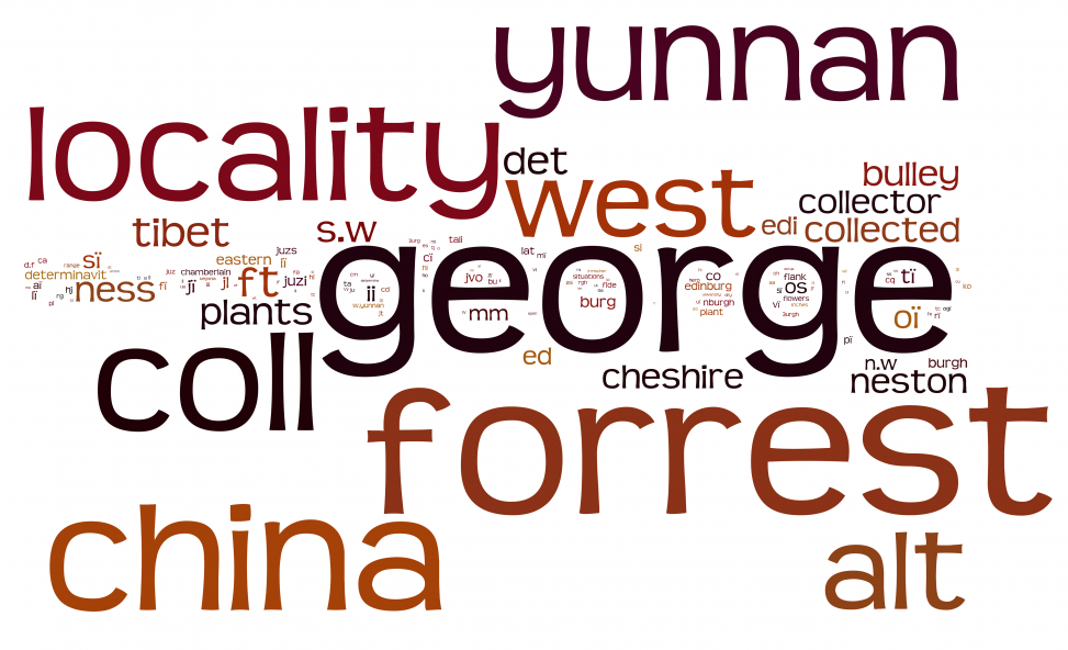 Finding minimally databased Forrest specimens – Botanics Stories