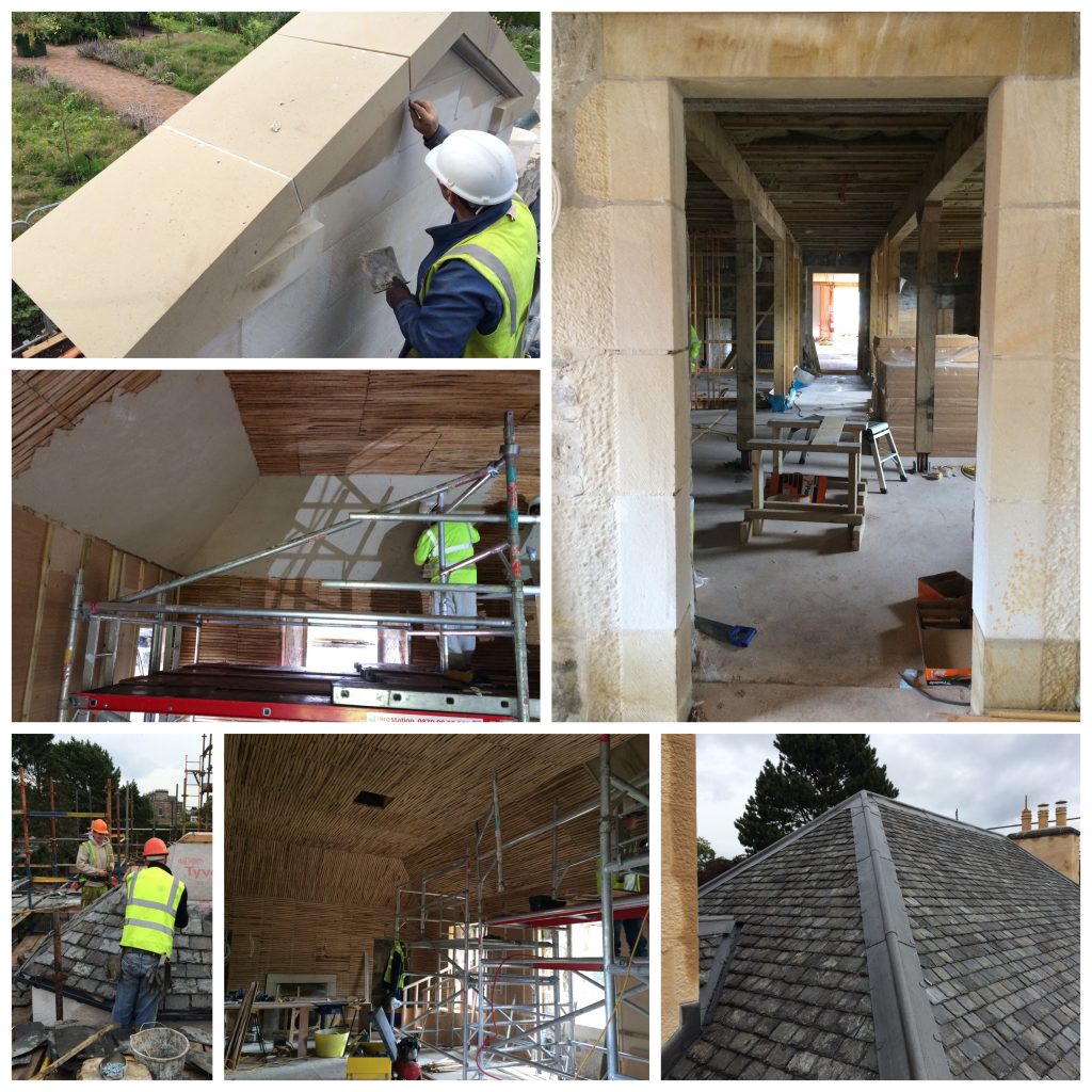 Sutherland Forsyth – Botanics Stories