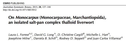 On Monocarpus – Botanics Stories