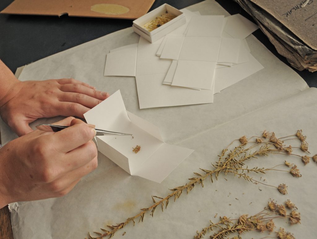 From Borneo to the Botanics: When the expedition ends, what happens to ...