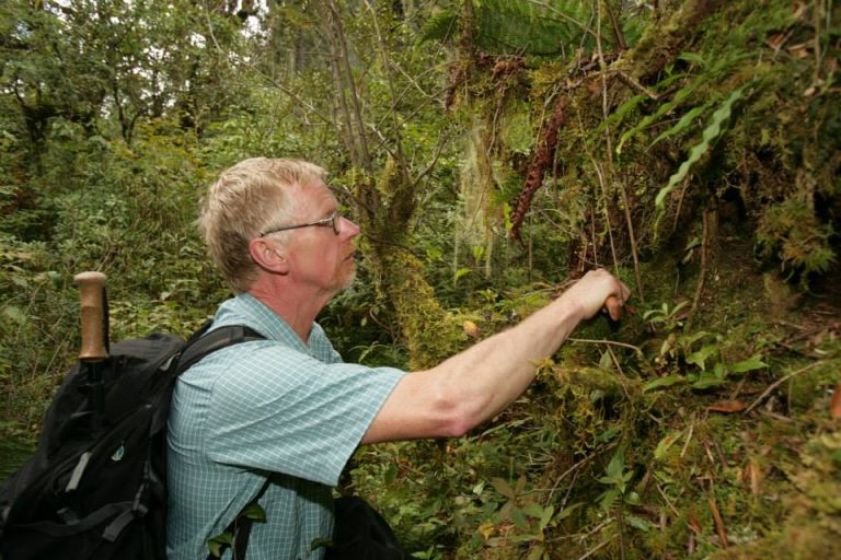 Long’s Marchantia – Botanics Stories