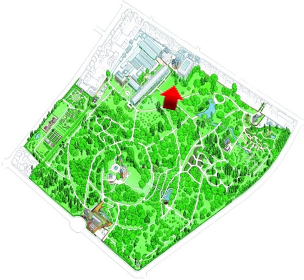 A collaboration between RBGE and Edinburgh College of Art – Botanics ...