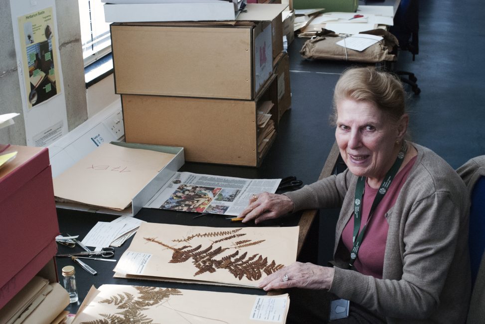 International Women’s Day 2017: Dr Jean Keeling – Botanics Stories