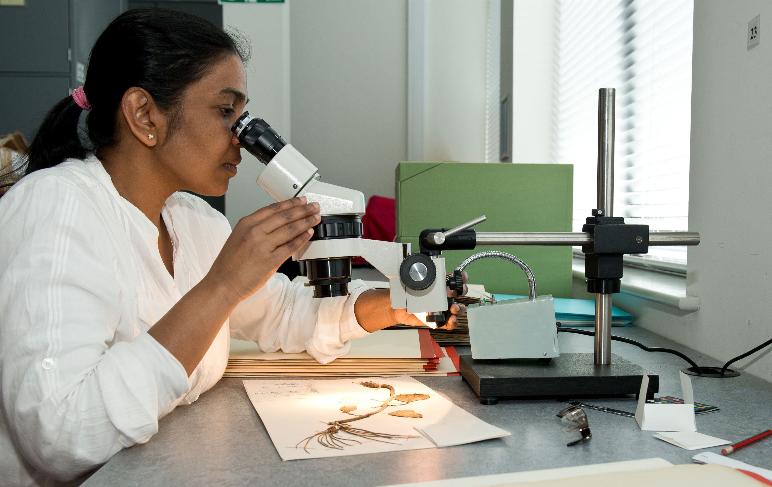 International Women’s Day 2017: Subhani Ranasinghe – Botanics Stories