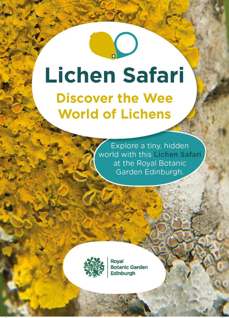‘Tis the season… For admiring lichens! – Botanics Stories