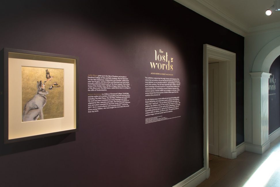 The Lost Words Recovered – Botanics Stories