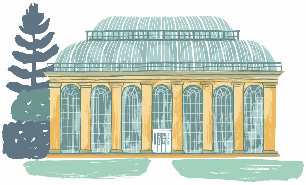The Temperate Palm House – Botanics Stories