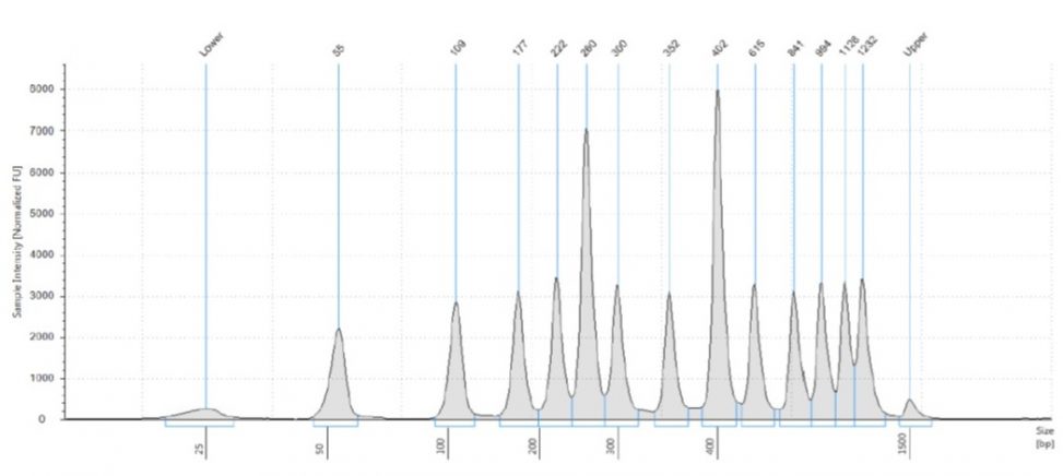Hybrid capture from degraded DNA: testing bead cleaning on a 50bp ...