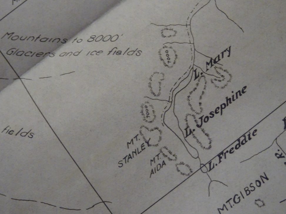 Fern Book Presents from Christmas Past – 2 – Botanics Stories