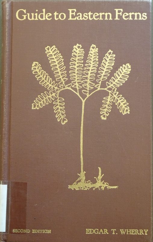 Fern Book Presents from Christmas Past – 2 – Botanics Stories