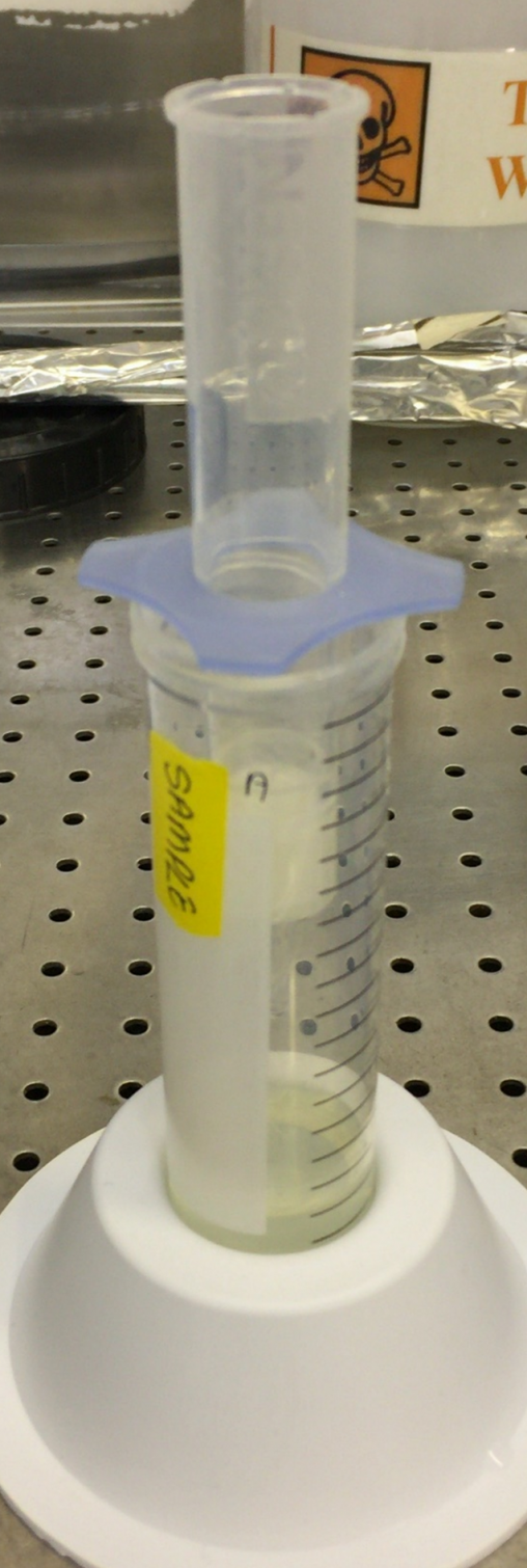 DNA extraction protocol for long read sequencing; DNA extraction for ...