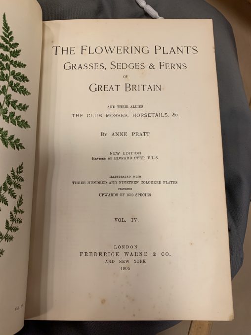 The Tale of Anne and Beatrix – Botanics Stories