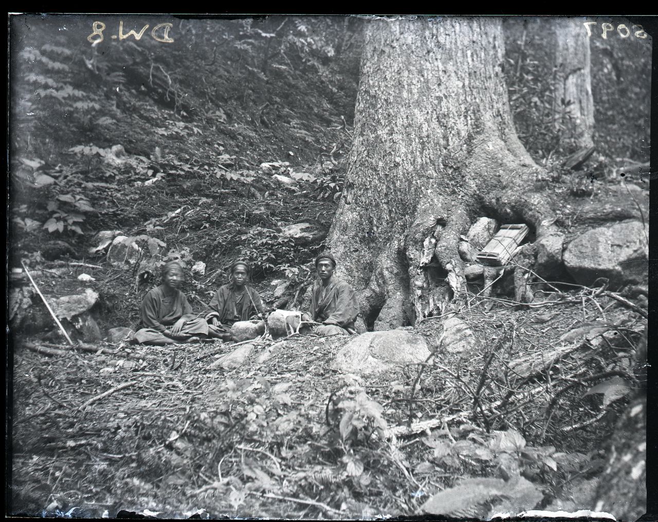 A Desperate Escape – George Forrest on the run in China, July 1905 ...