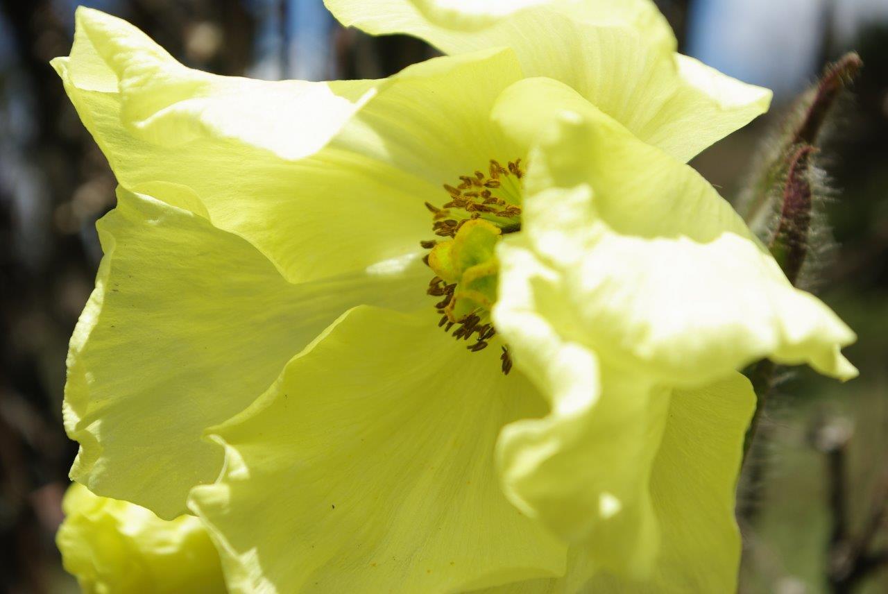 Evidence, action, inspiration – how nature-based solutions help combat ...