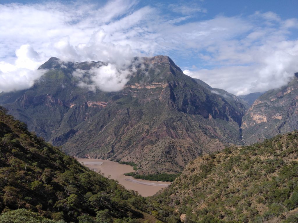 Hot, steep and spiny – Exploring the forgotten forests of Latin America ...