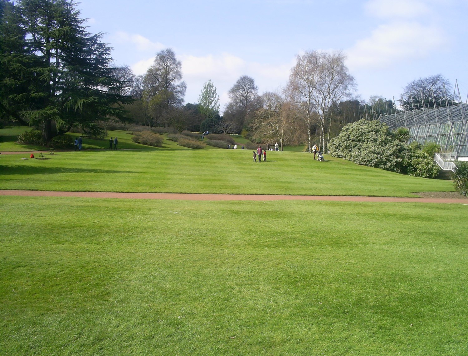 The mown lawn adding to the living environment within the garden ...