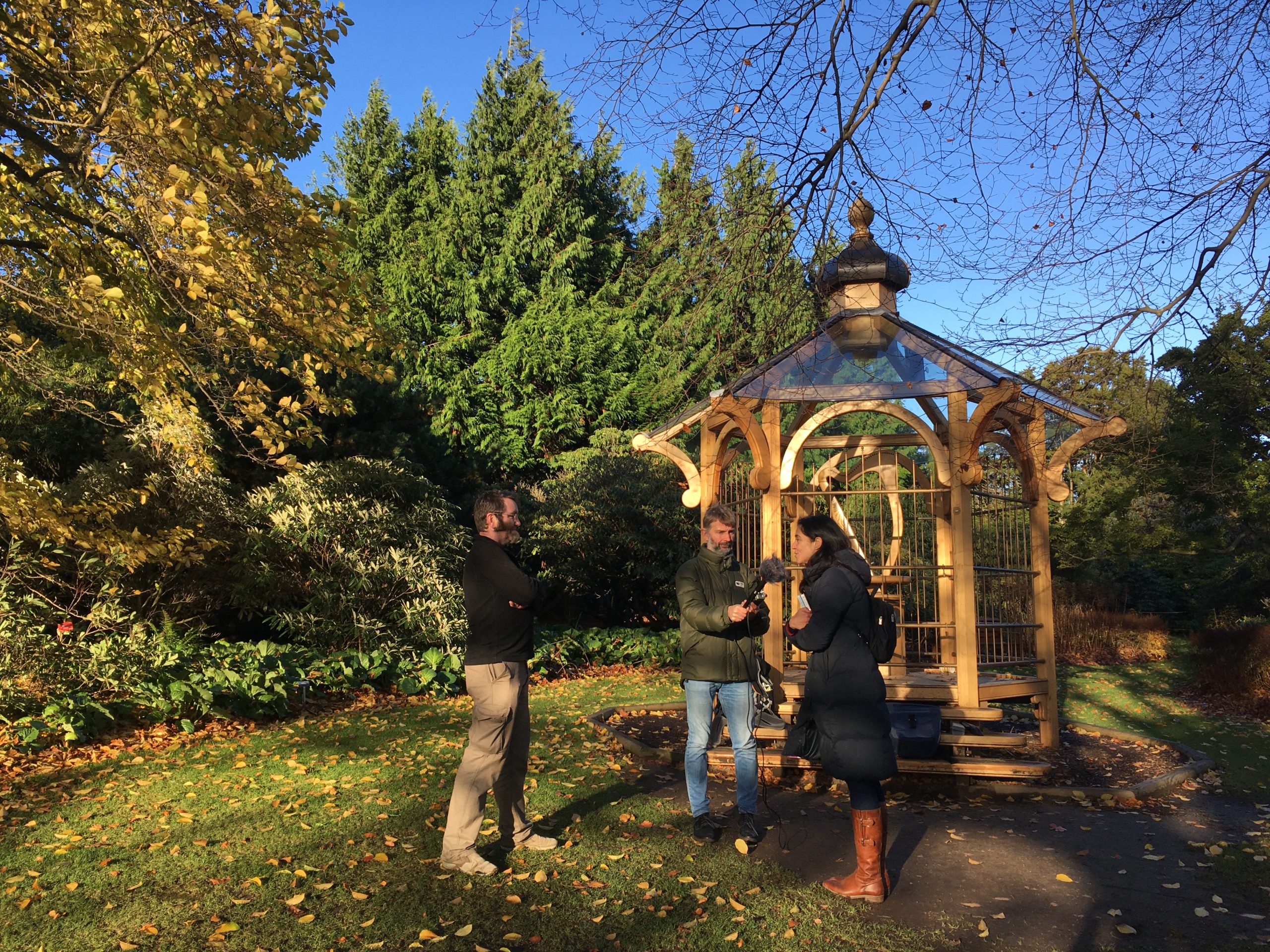 Connecting with plants – Botanics Stories