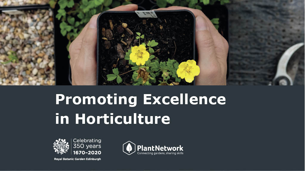Growing an Excellent Future – Reflecting on ‘Promoting Excellence in ...