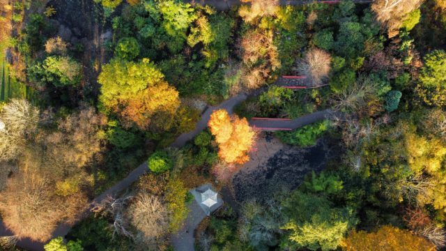 Autumn from the Air – Botanics Stories