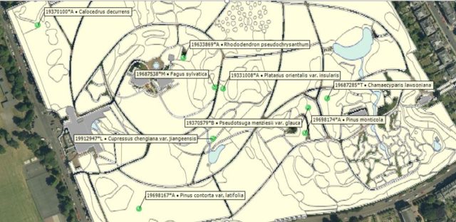 Damage to the Edinburgh collection. Storm Malik and Corrie – Botanics ...