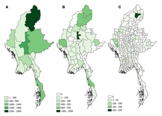 An Update on the Flora of Myanmar Project – Botanics Stories