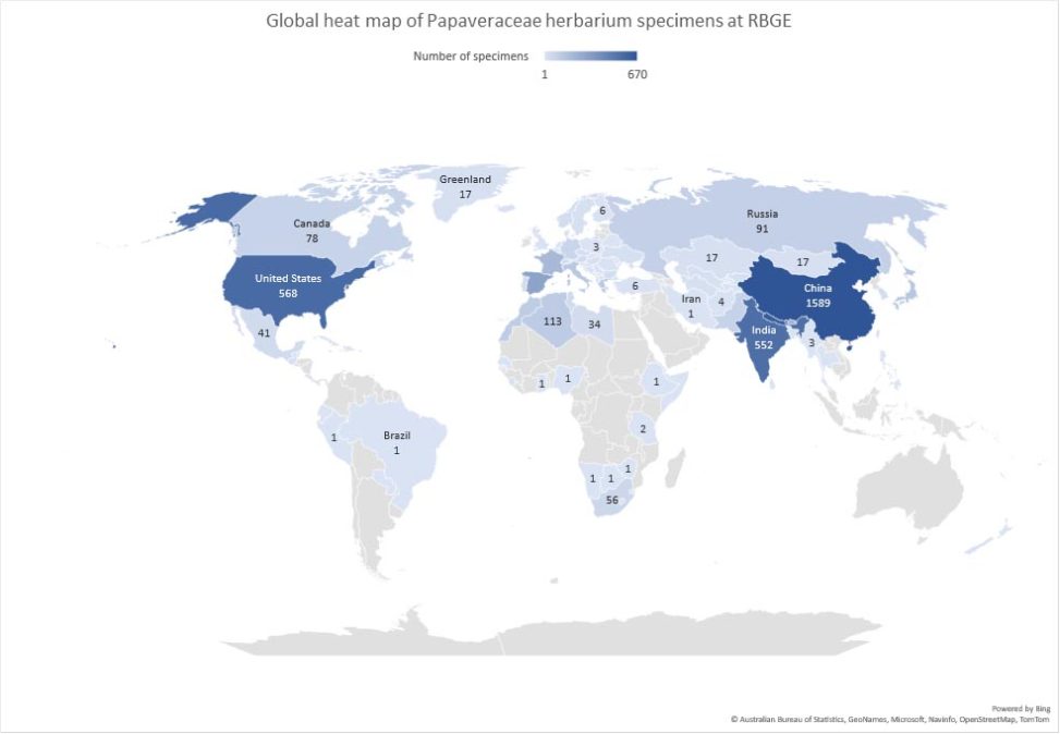 Digging into the details through digitisation: the poppy family ...