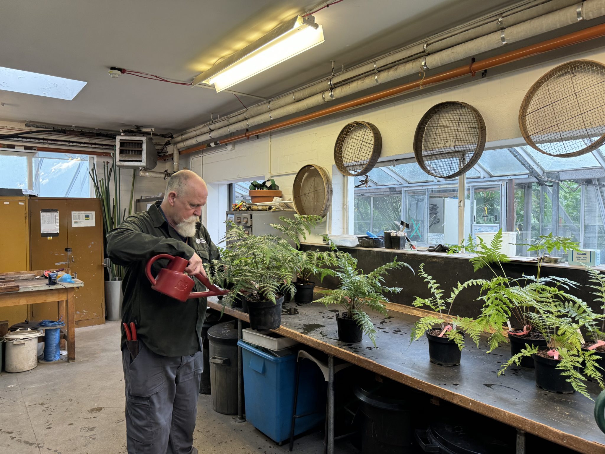 Growing Connections: Royal Botanic Garden Edinburgh and The National ...