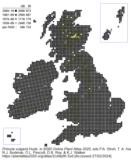 Towards 3 million specimens: Primula vulgaris: A Herald of Spring ...